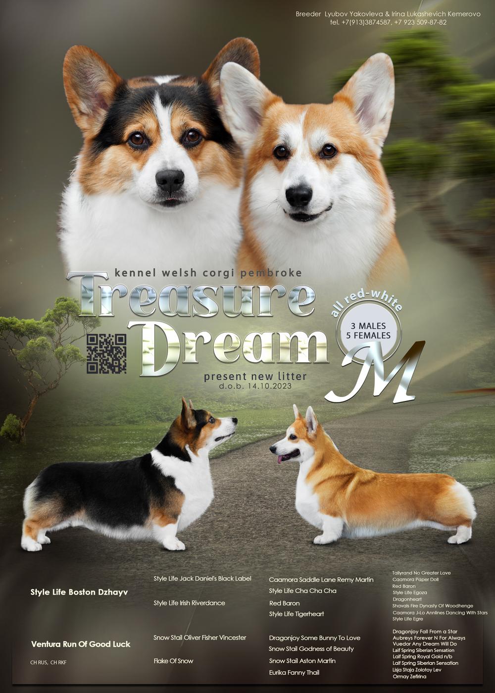 Treasure Dream litter M