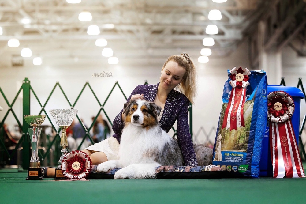 Выставки и соревнования