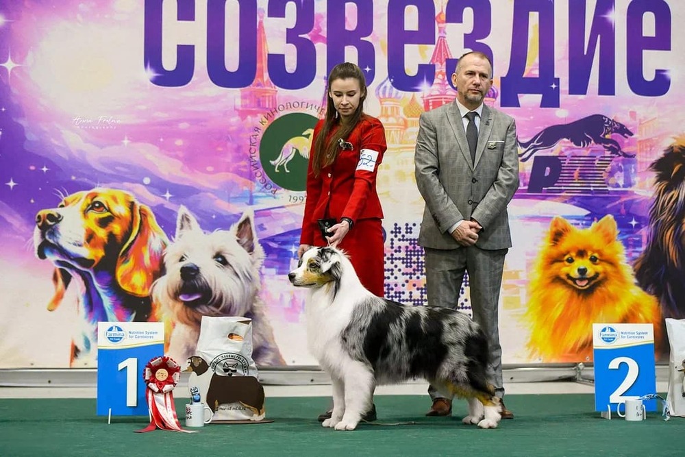 Выставки и соревнования