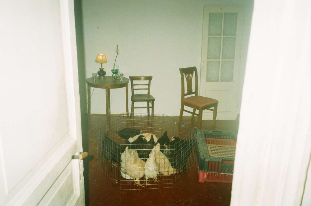 Pale Fire /with Ilya Smirnov