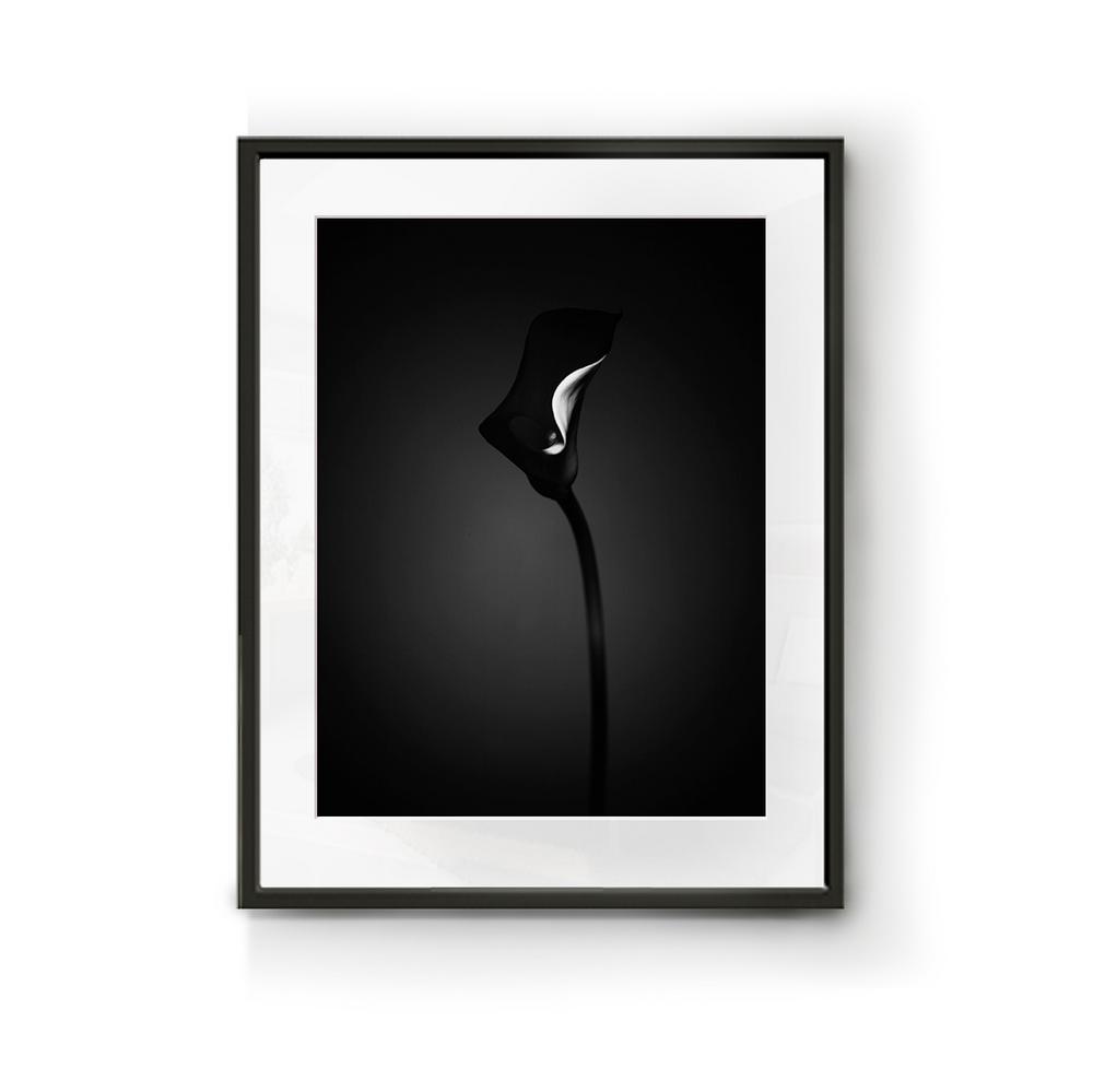 AGON – Fine Art Photography by George Mayer