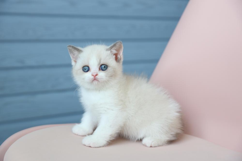 Litter J, 31.03.2023 -Judy